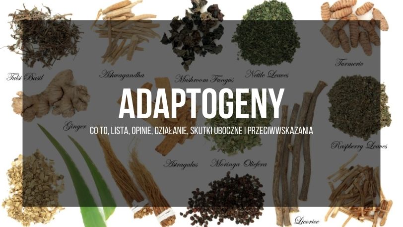 Adaptogeny – co to, lista, opinie, działanie i skutki uboczne