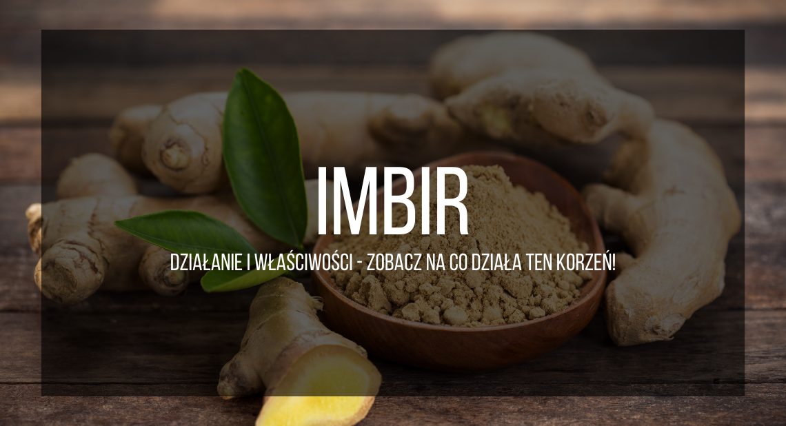 Imbir - działanie i właściwości. Zobacz na co działa ten korzeń!