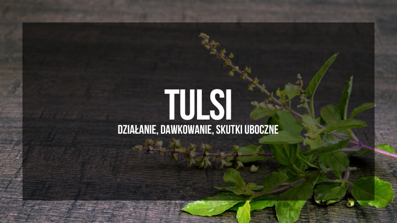 Tulsi (Święta Bazylia) - działanie, dawkowanie, skutki uboczne