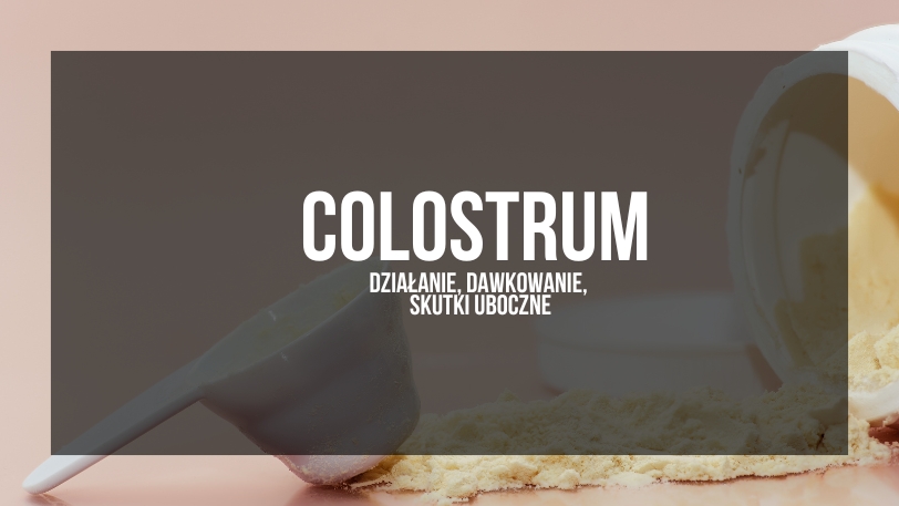 Colostrum – działanie, dawkowanie, skutki uboczne